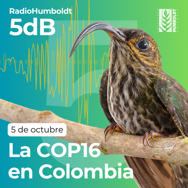 Cinco de Biodiversidad | #1 | La COP16 en Colombia - RadioHumboldt ...