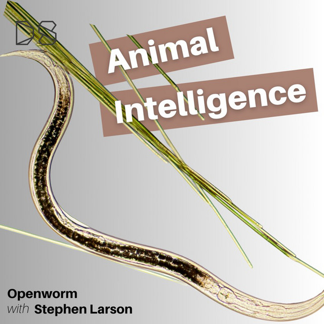 OpenWorm - Data Skeptic | Podcast on Spotify