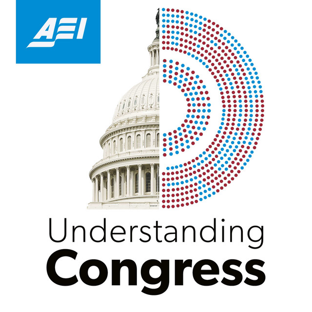 What Is the Relationship between Lobbyists and Congress? (with Timothy ...