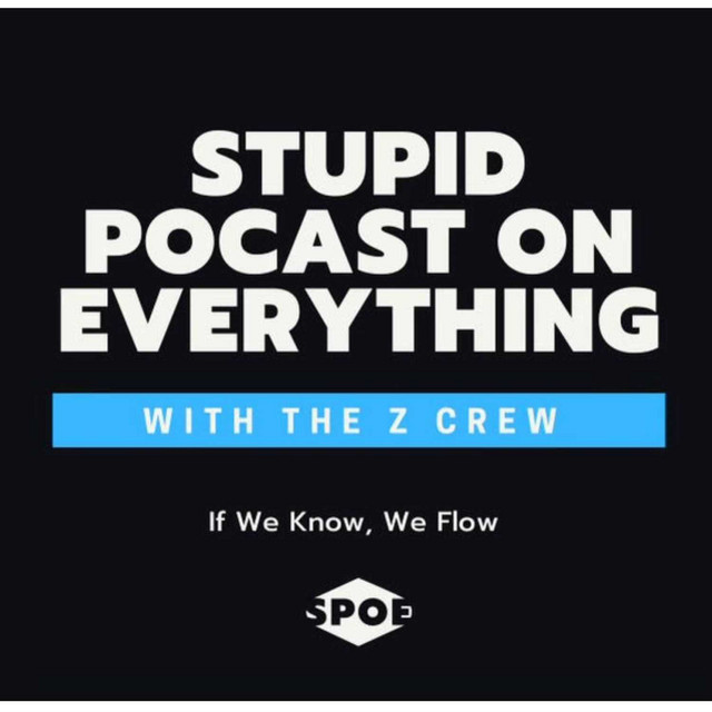 Stupid Podcast on Everything | Podcast on Spotify