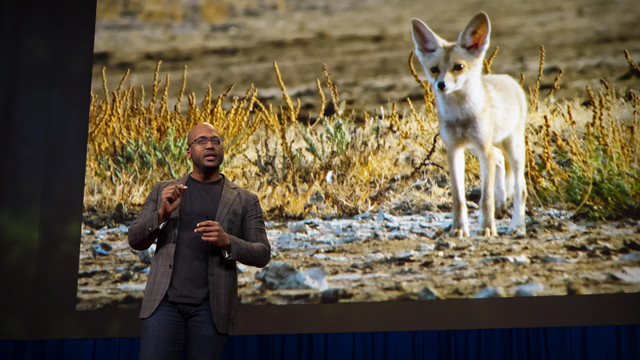 How life on Earth adapts to you and me | Shane Campbell-Staton - TED ...