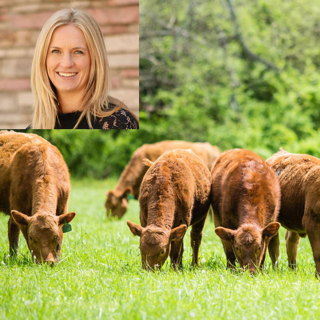 Ep. 230: See it differently — Kim Stackhouse-Lawson on beef supply ...