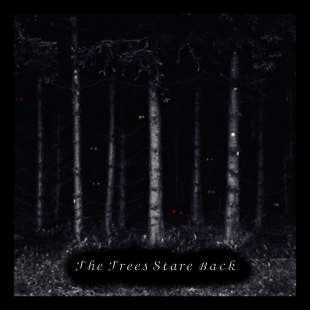Episode 4 - Our Haunted Objects - The Trees Stare Back Podcast ...