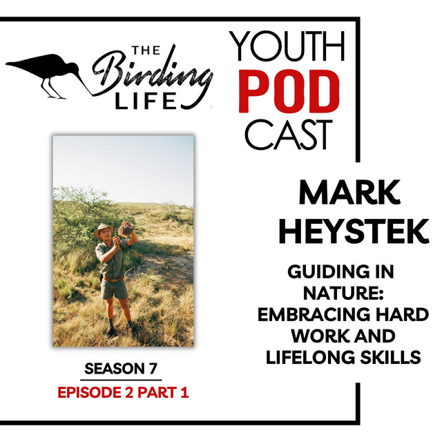 Season 7 Episode 2 - Mark Heystek: Guiding in nature: Embracing hard ...