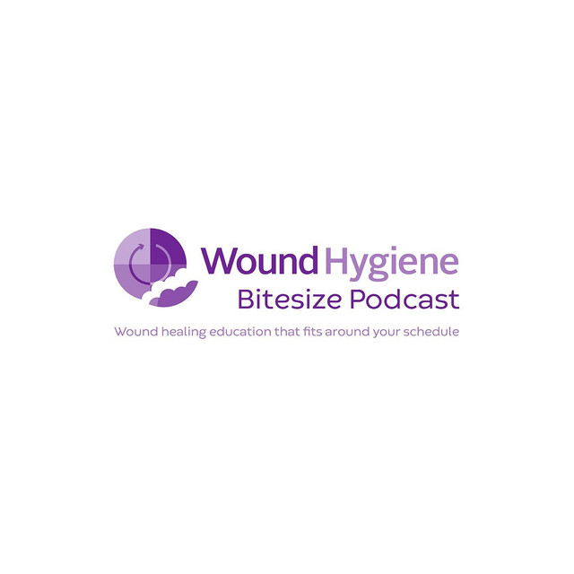 Understanding The Principles of Effective Wound Dressing - Wound ...