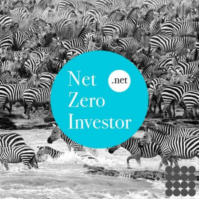 Net Zero Investor Podcast - David Atkins and Tamsin Ballard - The Net ...