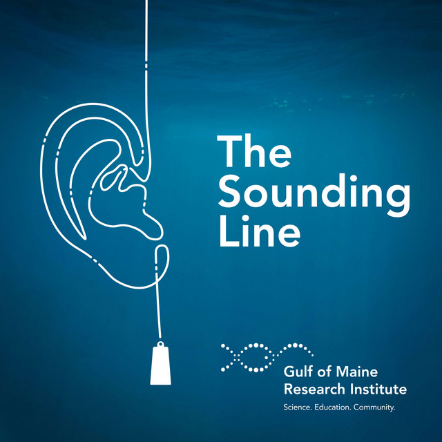 The Sounding Line | Podcast on Spotify