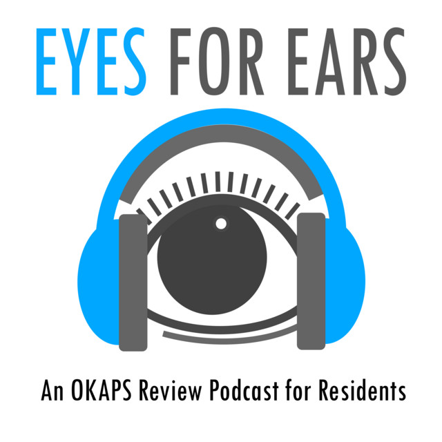 Retina Fundamentals - Eyes For Ears | Podcast on Spotify