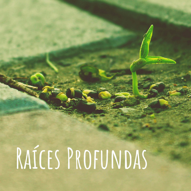 Echando Raíces Profundas | Podcast on Spotify