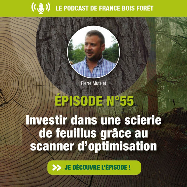 #55 Investir dans une scierie de feuillus grâce au scanner d ...