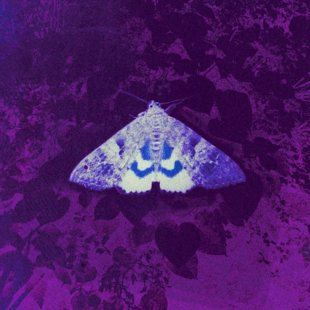 book moth | Podcast on Spotify