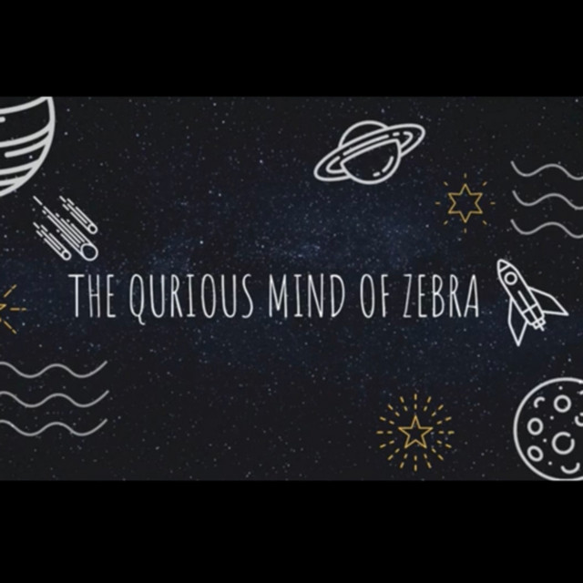 The Qurious Mind of Zebra | Podcast on Spotify