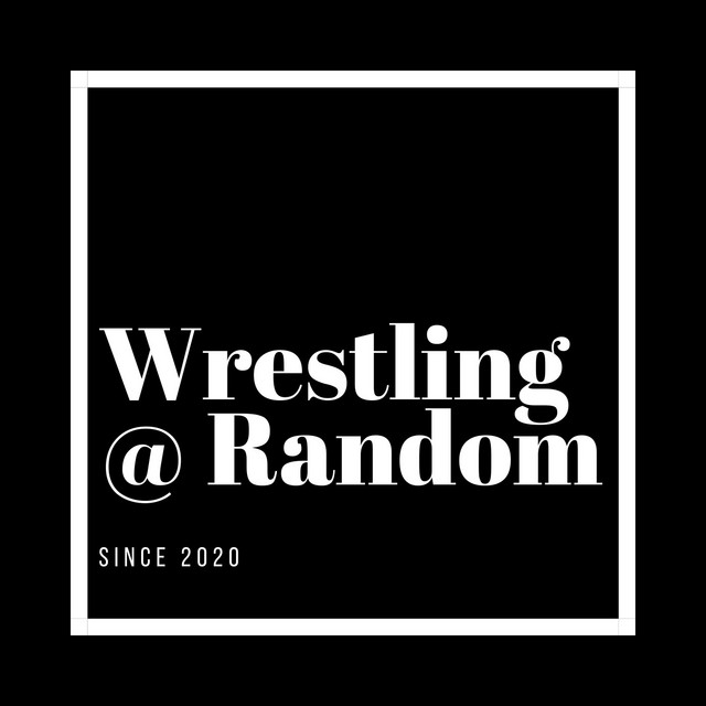 WWF ACTION ZONE - November 13th 1994 - Wrestling At Random - Reviews of ...