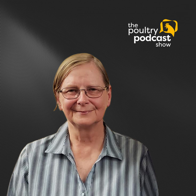 Dr. Sally Noll: Footpad Dermatitis in Turkeys | Ep. 148 - The Poultry ...