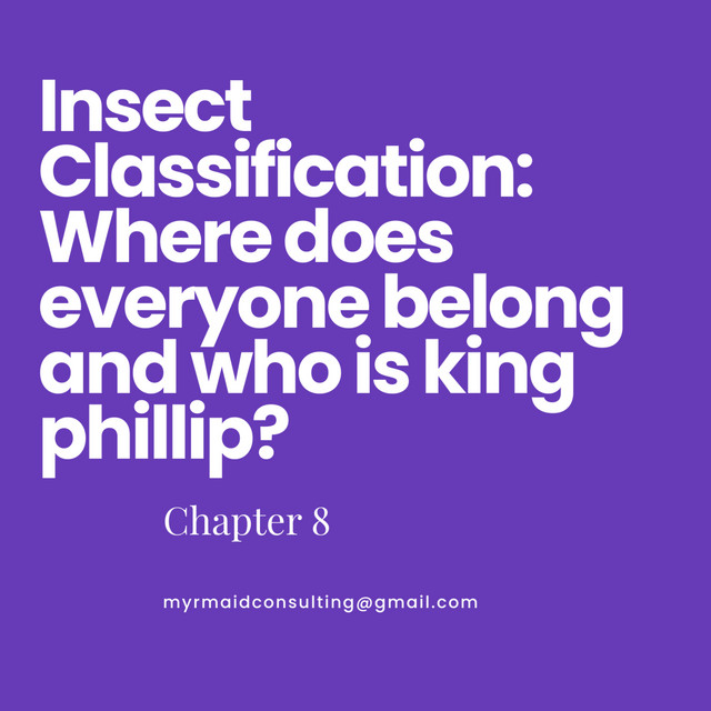 ACE the ACE Insect Classification - ACE the ACE with Sylvia Kenmuir ...