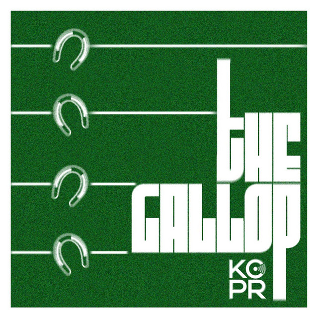Episode 9: Shanele Stires (Cal Poly Women's Basketball) - The Gallop ...