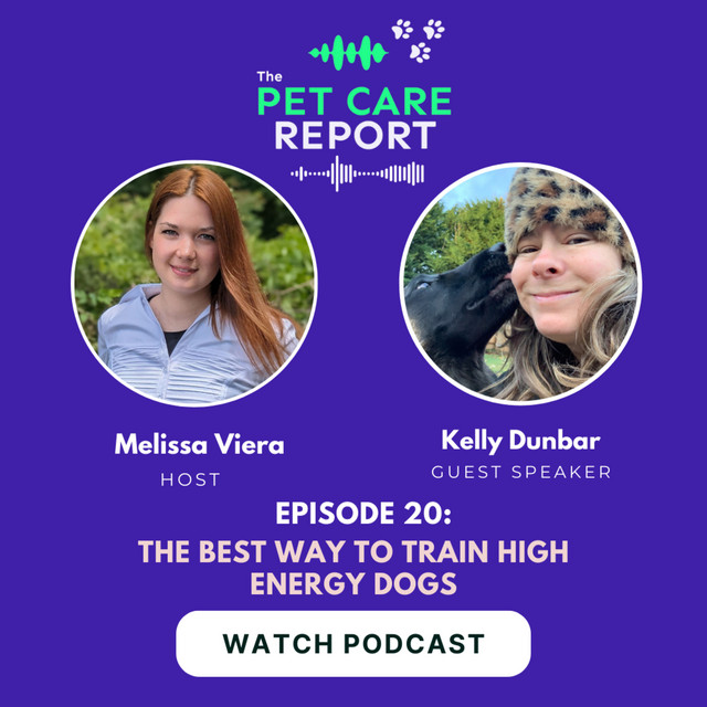 Kelly Dunbar: The Best Way To Train High Energy Dogs | E20 - The Pet ...