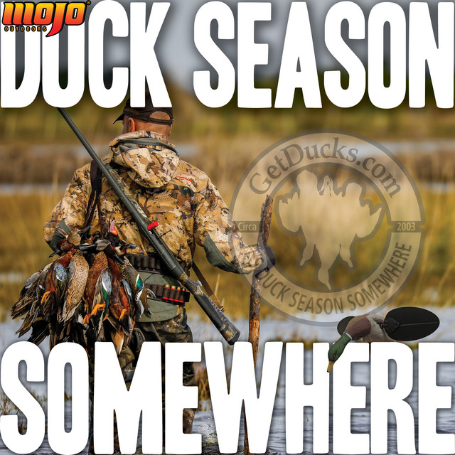 Duck Season Somewhere | Podcast on Spotify