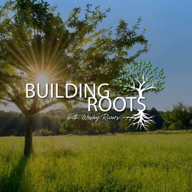 Building Roots | Podcast on Spotify