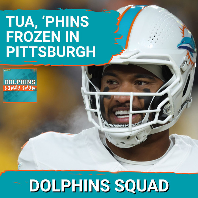 DOLPHINS SQUAD: MIAMI DOLPHINS ICE-COLD at Pittsburgh, 3-GAME WIN ...