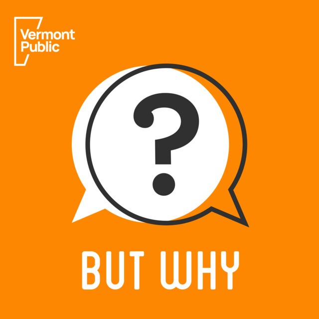 But Why: A Podcast for Curious Kids | Podcast on Spotify