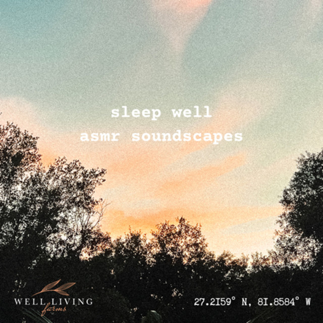 Sleep Well Soundscapes | Podcast on Spotify