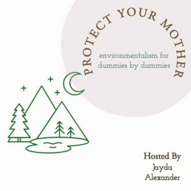Protect Your Mother | Podcast on Spotify