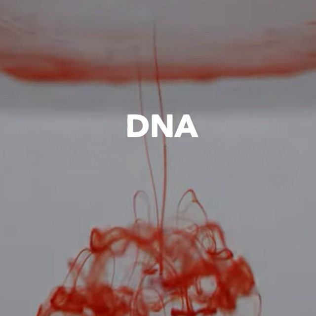 The Story Behind the DNA Knife. - High Carbon | Podcast on Spotify