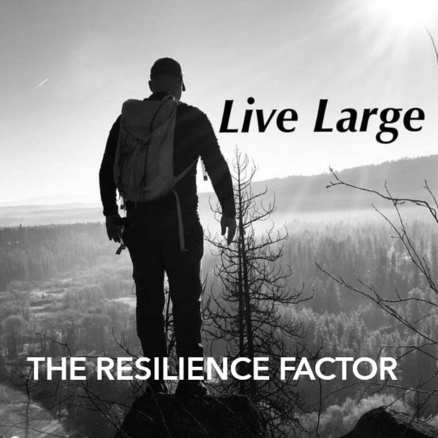 The Resilience Factor with Rod Price | Podcast on Spotify
