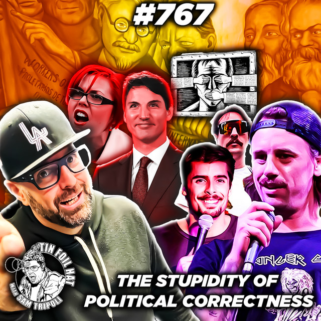 767: The Stupidity Of Political Correctness With The Danger Cats - Tin ...