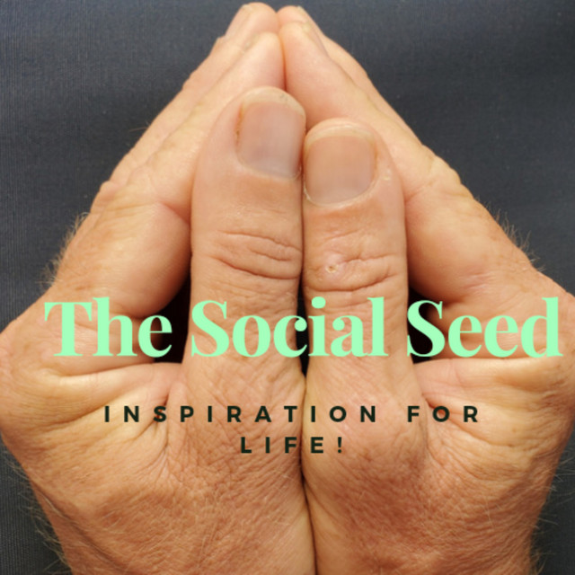 The Social Seed | Podcast on Spotify