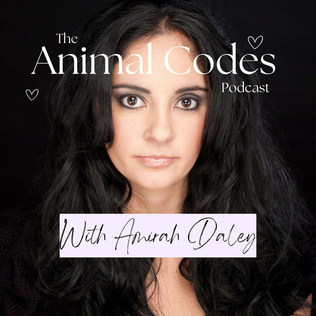 The Animal Codes | Podcast on Spotify