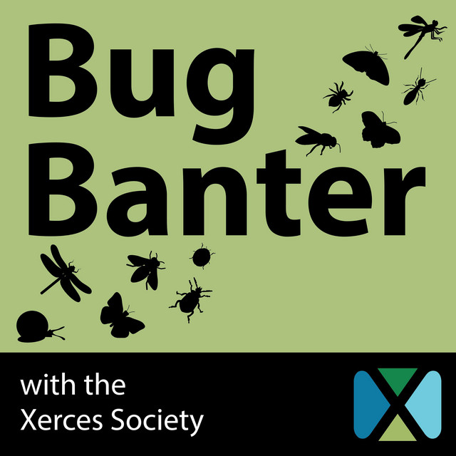 Bug Banter with the Xerces Society | Podcast on Spotify