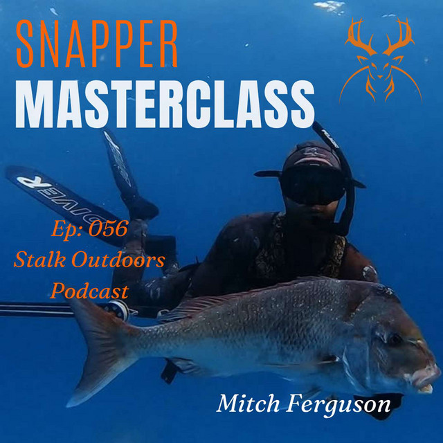 056: Snapper Masterclass | MITCH FERGUSON - Stalk Outdoors Podcast ...