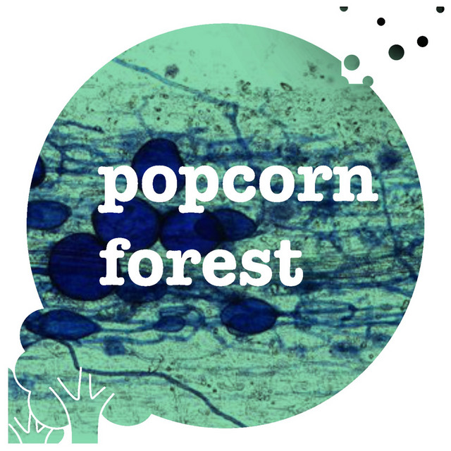 Popcorn Forest | Podcast on Spotify