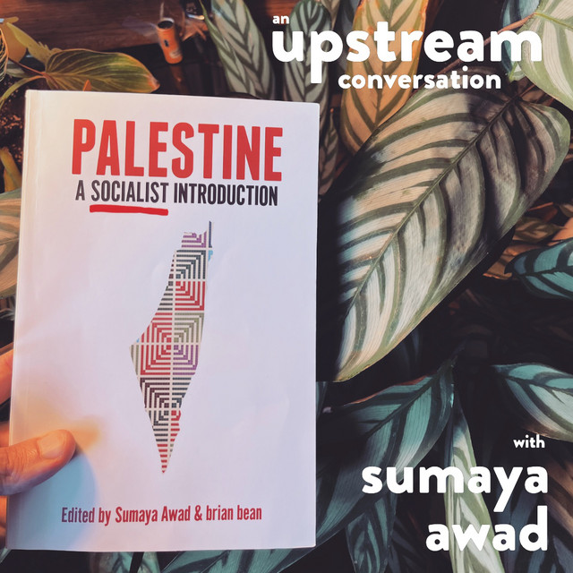 Palestine Pt. 1: A Socialist Introduction with Sumaya Awad - Upstream ...