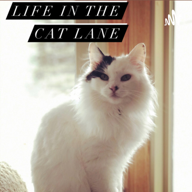 Life in the Cat Lane | Podcast on Spotify