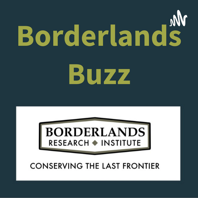 Borderlands Buzz | Podcast on Spotify