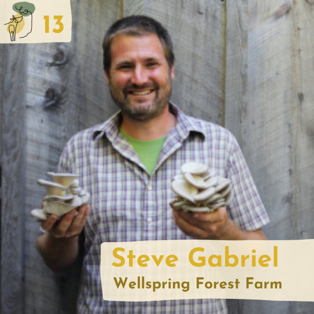 #13 Sheep silvopasture and farm ecology with Steve Gabriel - The ...