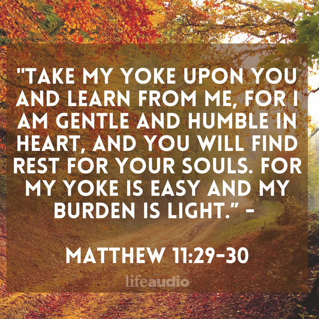 How To Have Lightness Of Being Matthew 11 29 30 Your Daily Bible