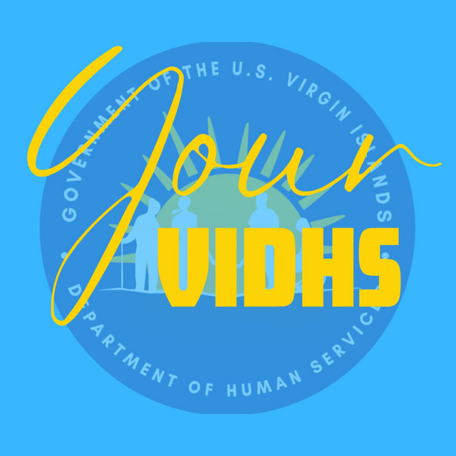 Your VIDHS | Podcast on Spotify