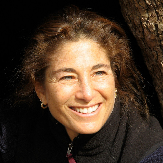 Embodied Presence - Portal to the Sacred, Part 1 - Tara Brach | Podcast ...