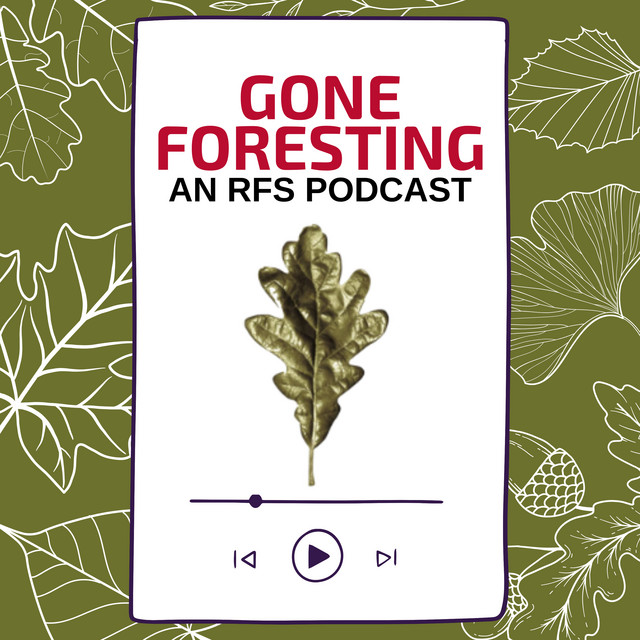 Mental Health in Forestry: Breaking the Silence - Gone Foresting; An ...