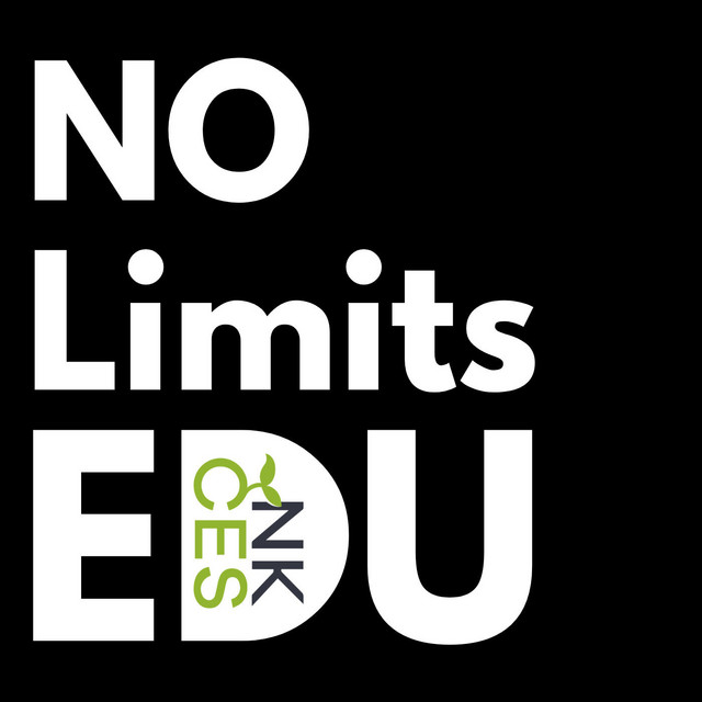 The Benefits of Co-Teaching - No Limits EDU | Podcast on Spotify