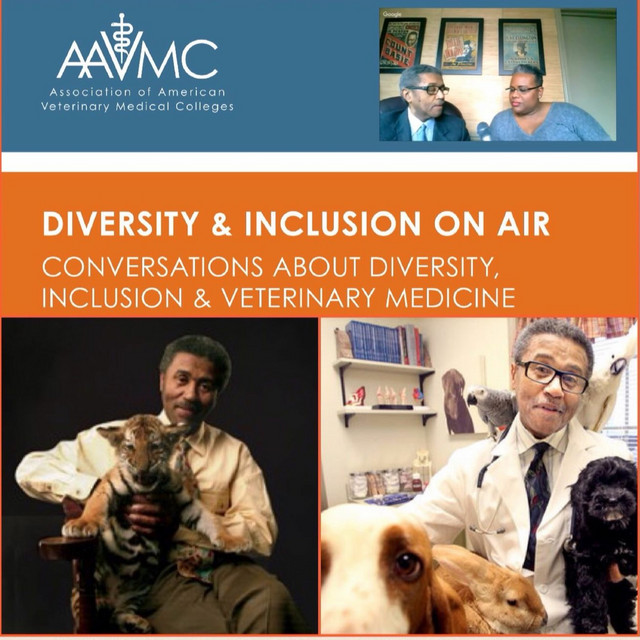 7: Dr. Evan Morse on Diversity, Civil Rights, and Veterinary Medicine ...
