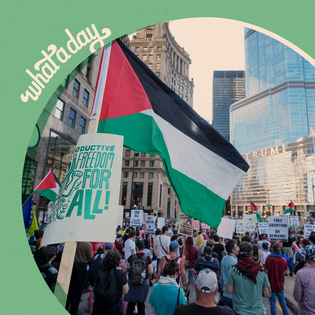 The DNC Protests You Should Know About - What A Day | Podcast on Spotify