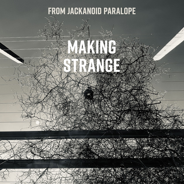 Making Strange Trailer - Making Strange | Podcast on Spotify