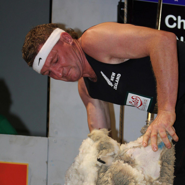 E89 Chris Vickers - Shedtalk Shearing Podcast | Podcast on Spotify