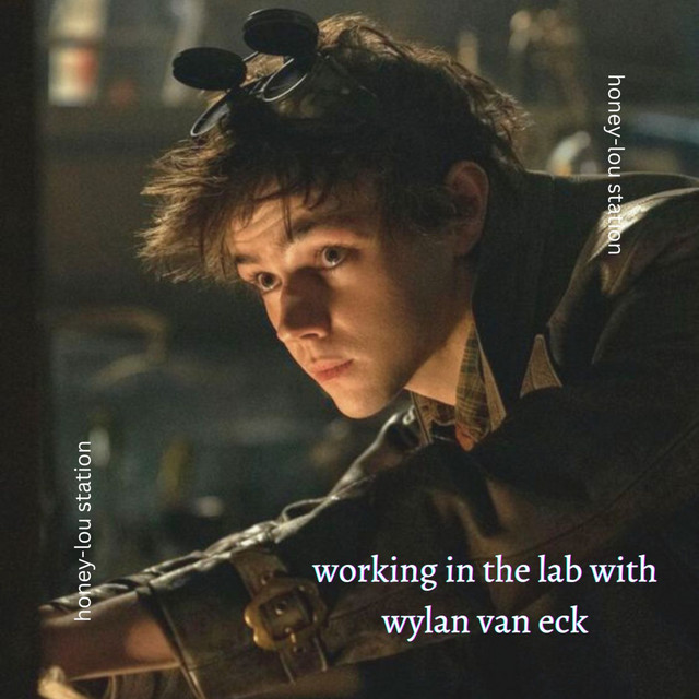 working in the lab with wylan van eck | shadow and bone ambience ...
