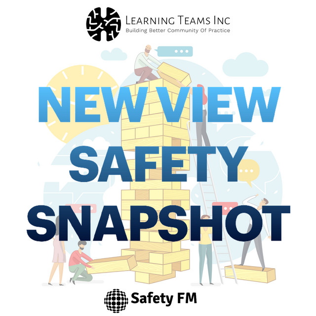 New View Safety Snapshot | Podcast on Spotify
